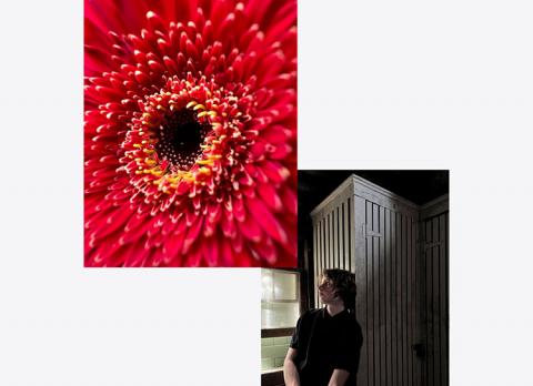 iPhone 13 Pro and iPhone 13 Pro Max | More Design | Vodacom Business